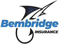 Our Story – Bembridge Insurance